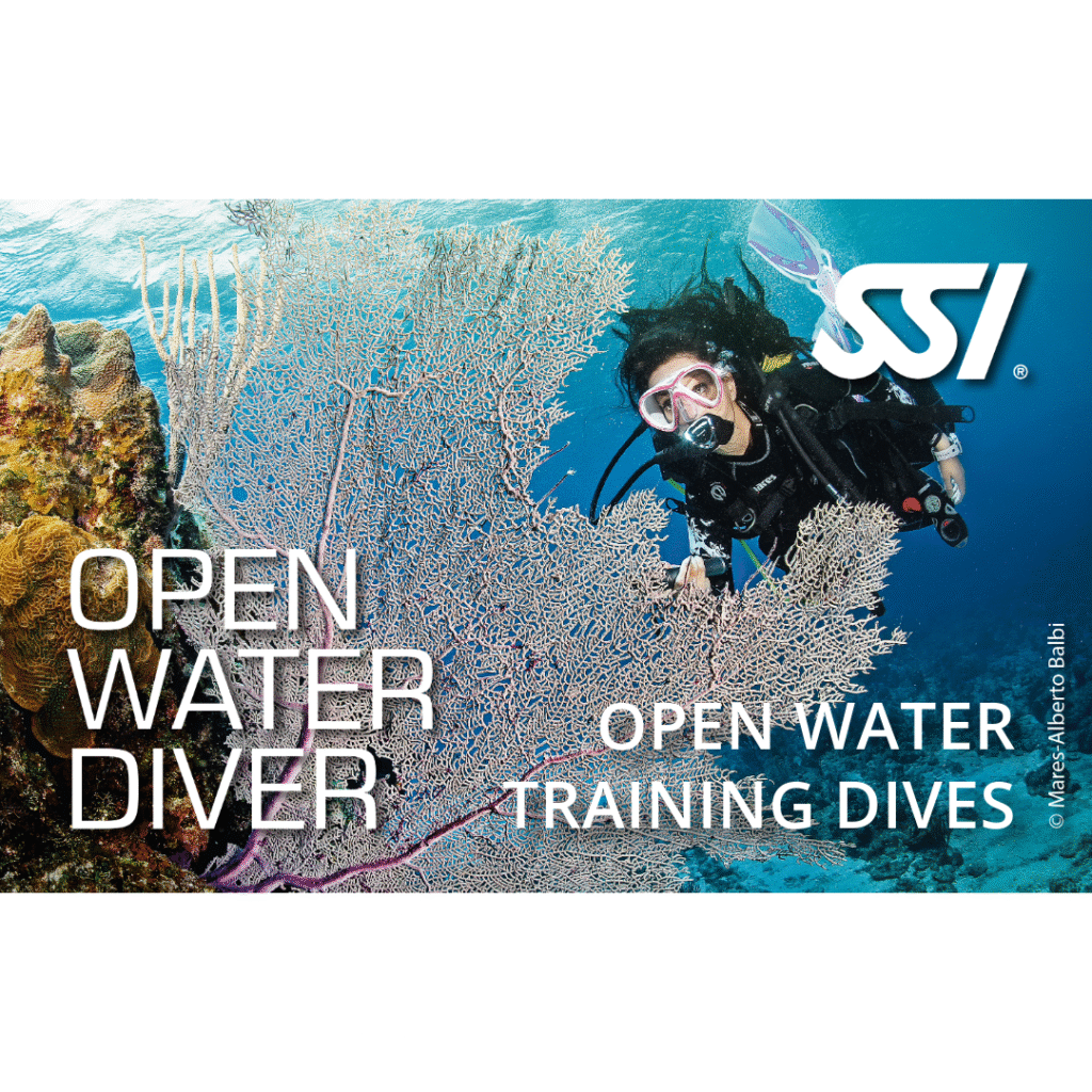 Open Water Checkout Dives - Indy Dive Center